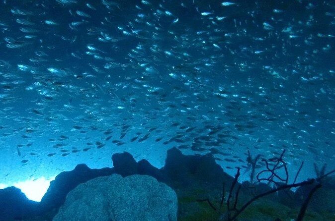 Trial diving tour that even inexperienced people can enjoy safely - Practical Tips for Participants