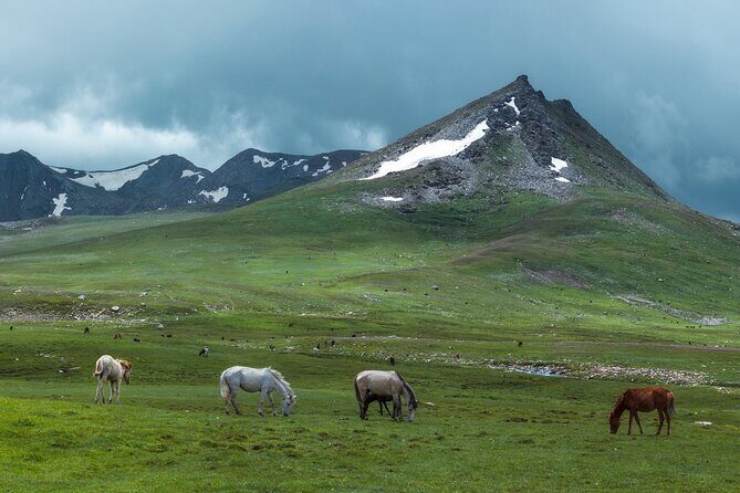 Tribes From Pakistan - Exploring Pakistan’s Cities and Beyond