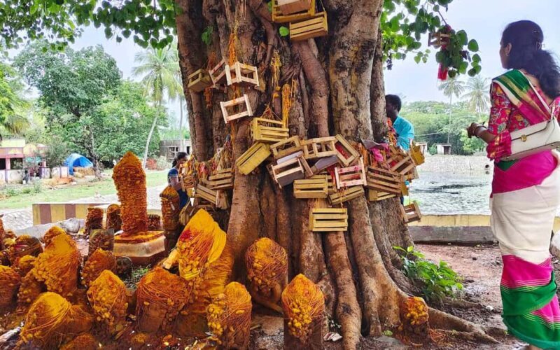 Trichy: Navagraha Temple Tour of Sun, Moon and Rahu - Introduction: Why This Tour Revives Your Spiritual Senses