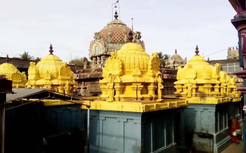 Trichy: Navagraha Temple Tour of Sun, Moon and Rahu - Who Will Appreciate This Tour