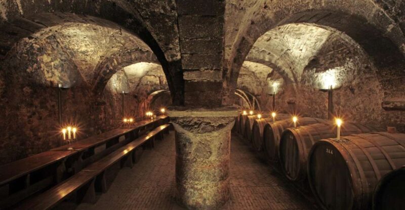 Trier: Discovery tour - Germany's oldest wine cellar - Key Points