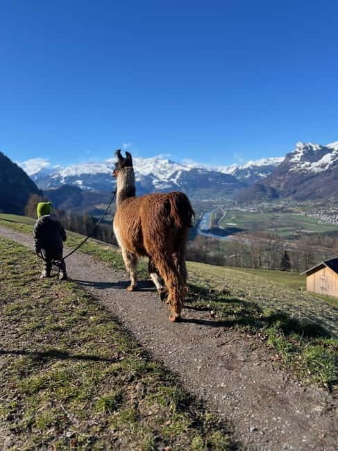 Triesenberg: Walk with Llamas in the Mountains - Key Points