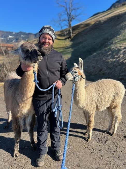 Triesenberg: Walk with Llamas in the Mountains - FAQ