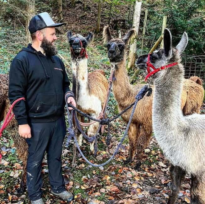 Triesenberg: Walking Tour with Llamas and Cheese Raclette - A Walk with Llamas in Triesenberg
