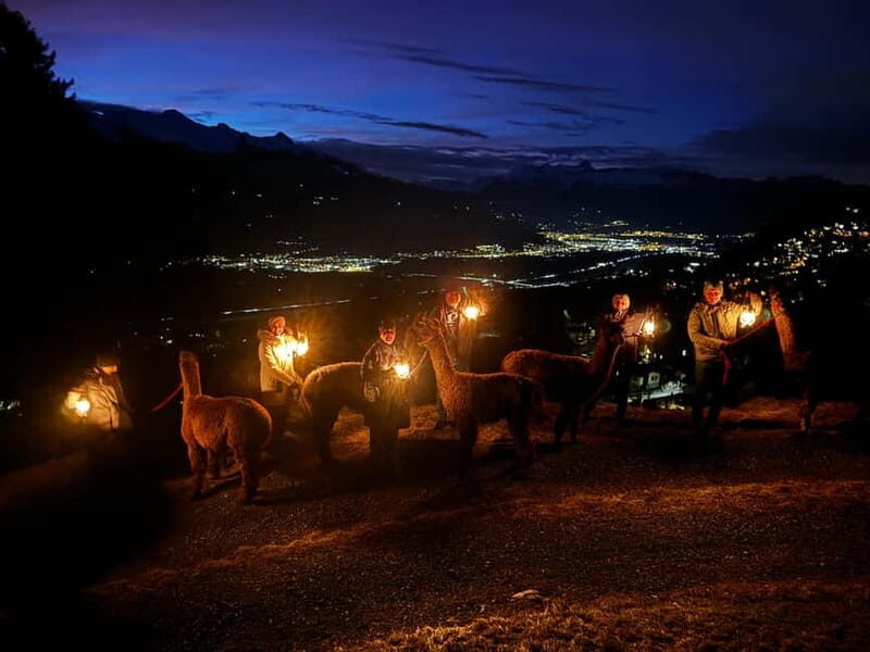 Triesenberg: Walking Tour with Llamas and Cheese Raclette - The Value of the Experience