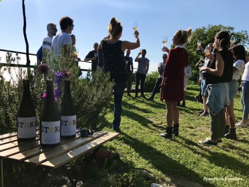 Trieste: 2.5-Hour Prosecco Origins Tour and Tastings - Key Points