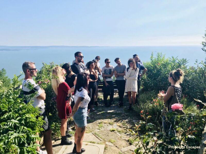 Trieste: 2.5-Hour Prosecco Origins Tour and Tastings - The Itinerary: From Village Streets to Sea-View Vineyards