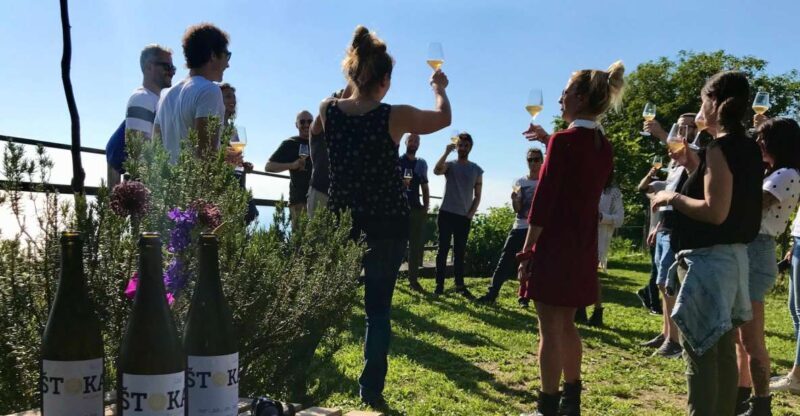 Trieste: 2.5-Hour Prosecco Origins Tour and Tastings - The Experience: An Ideal Balance of Education and Relaxation