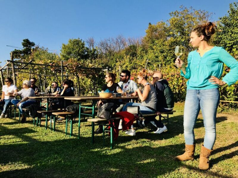 Trieste: 2.5-Hour Prosecco Origins Tour and Tastings - Practical Details and Value