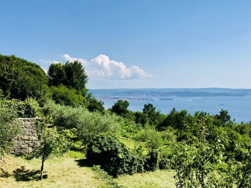 Trieste: 2.5-Hour Prosecco Origins Tour and Tastings - Review Highlights: Authenticity, Views, and Knowledge