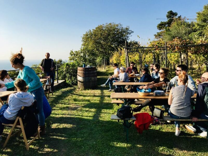 Trieste: 2.5-Hour Prosecco Origins Tour and Tastings - Accessibility and Logistics
