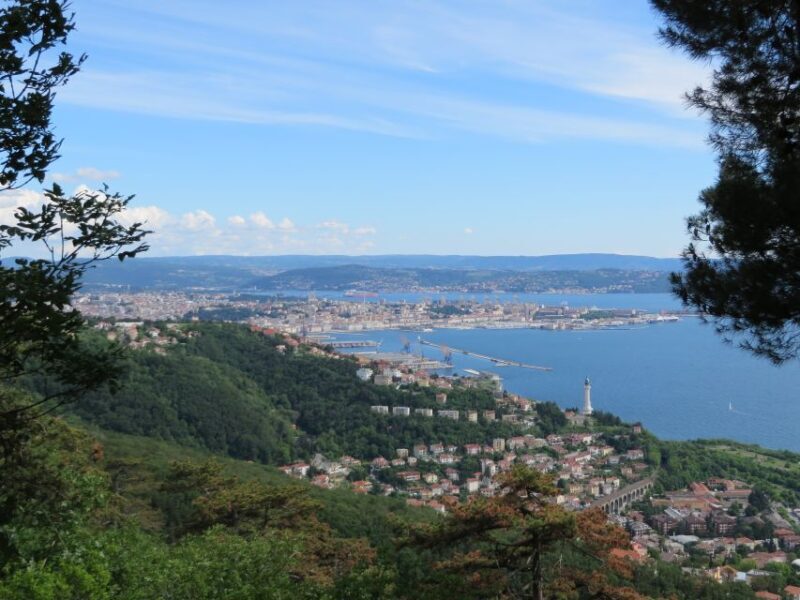 Trieste Panoramic City and Miramare Castle Tour - What’s Included & Why It Matters