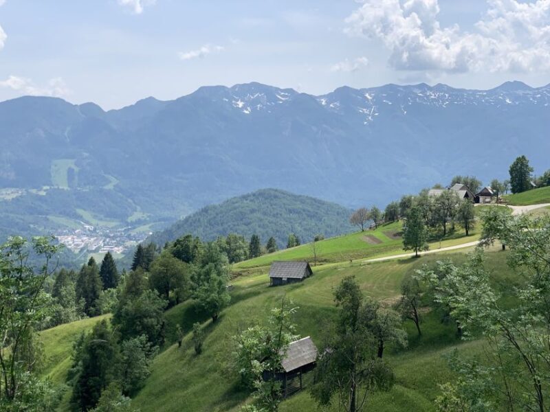 Triglav National Park Tour from Bled - Introduction: Why Consider the Triglav National Park Tour?