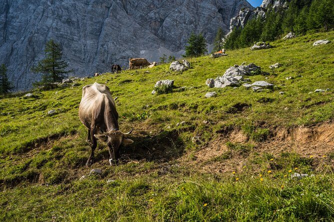 Triglav tour in 2 days Slovenia - The Practicalities: What to Pack and Prepare