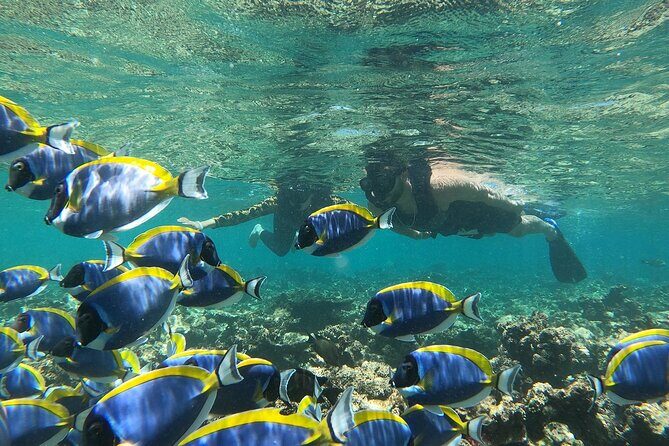 Trinco Tour A - Snorkeling & Island Hopping tour - The Sum Up