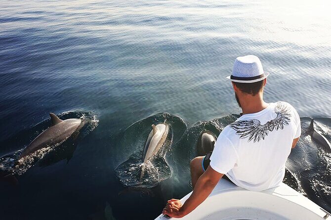 Trinco Tour B - Whales, Dolphins & Snorkeling tour - Key Points