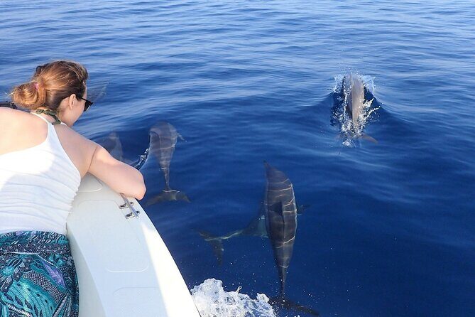 Trinco Tour B - Whales, Dolphins & Snorkeling tour - Practical Considerations