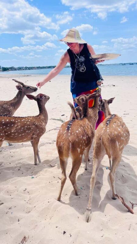 Trincomalee: 2-Day Private Tour with Snorkeling & Whales - Exploring Trincomalee: A 2-Day Private Tour with Snorkeling & Whales