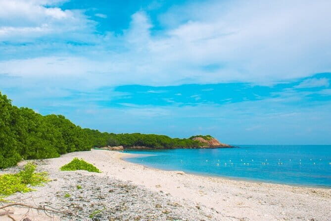 Trincomalee and Nilaveli beach Tour from Dambulla - Key Points
