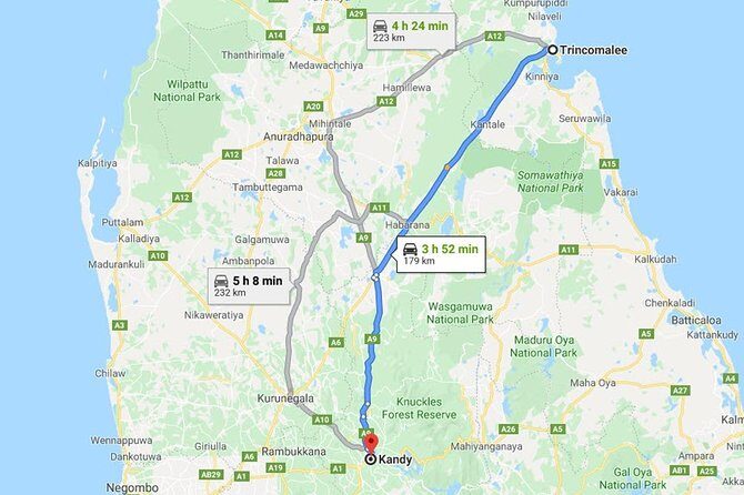 Trincomalee City to Kandy City Private Transfer - What the Reviews Say—Insights from Travelers