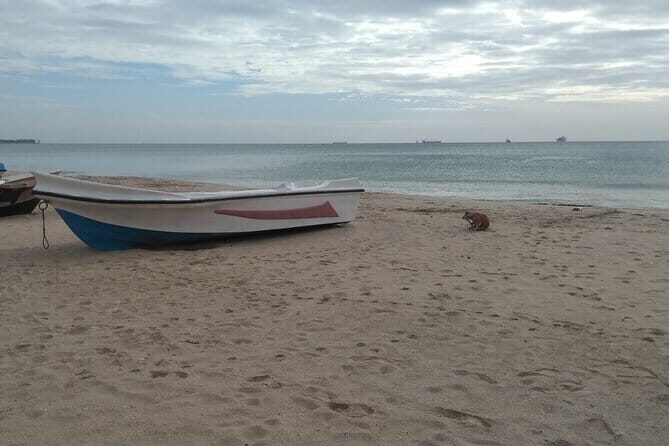 Trincomalee Day Tour From Kandy - Practical Details: What You Should Know