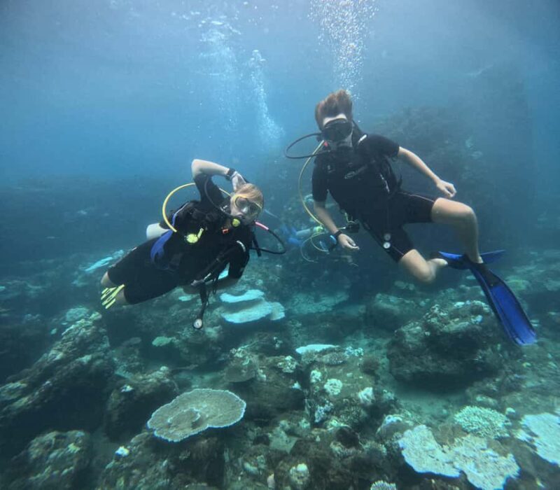 Trincomalee: Discovery Scuba Diving for Beginners - Who Will Benefit Most?