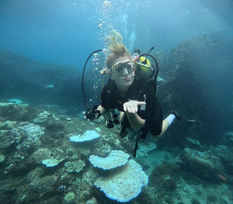 Trincomalee: Discovery Scuba Diving for Beginners - Summary