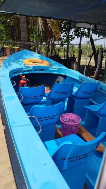 Trincomalee: Dolphin & Whale Watching Boat Tour - The Value of the Tour