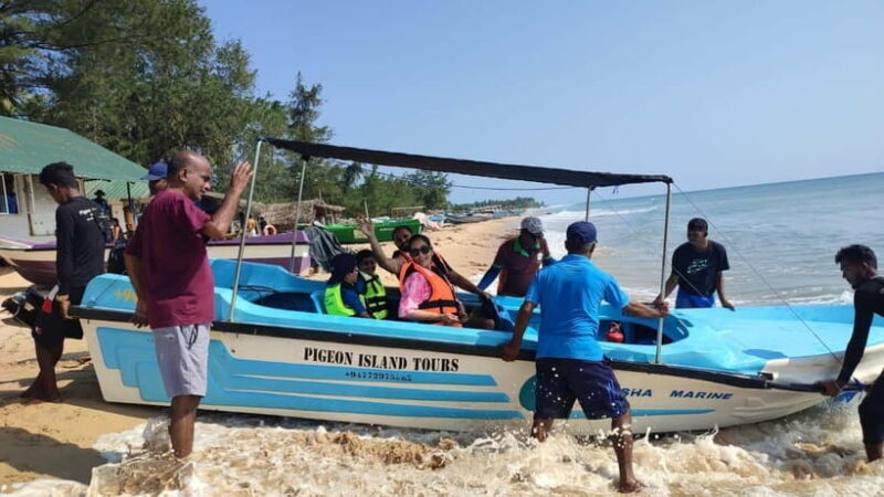 Trincomalee: Dolphin & Whale Watching Boat Tour - Practical Tips for Travelers