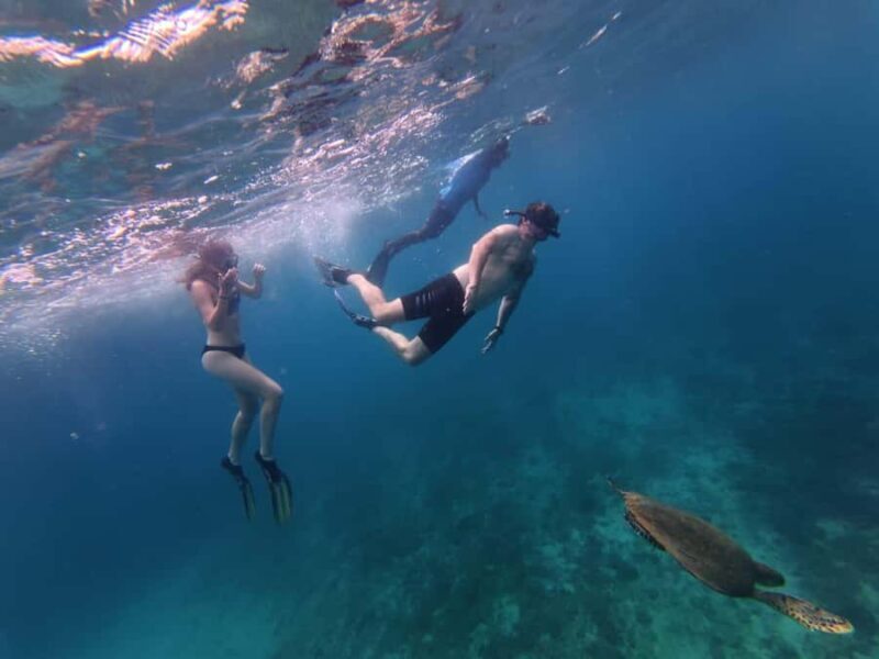 Trincomalee: Private Whale Watching and Snorkeling Tour - An Authentic Ocean Adventure in Trincomalee