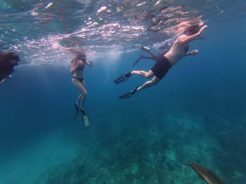 Trincomalee: Private Whale Watching and Snorkeling Tour - Snorkeling and Reefs: A Vibrant Underwater World