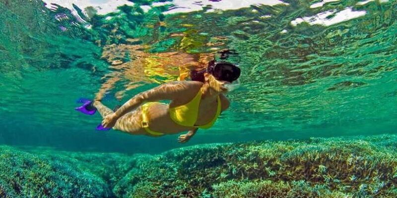Trincomalee : Snorkeling in trincomalee - Why This Snorkeling Tour Stands Out