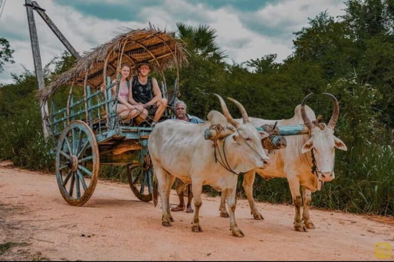 Trincomalee to Sigiriya:Rural Village Tour & Elephant Safari - The Sum Up: Why It’s a Great Choice