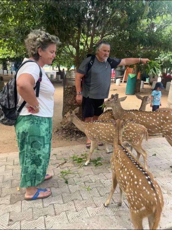 Trincomalee: Tuk-Tuk city tour with a guide - Explore Trincomalee’s Vibrant Streets