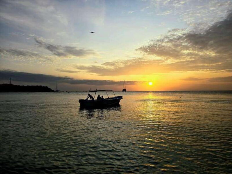 Trincomalee : Whale & dolphin watching +pigeon island tour - The Experience in Detail