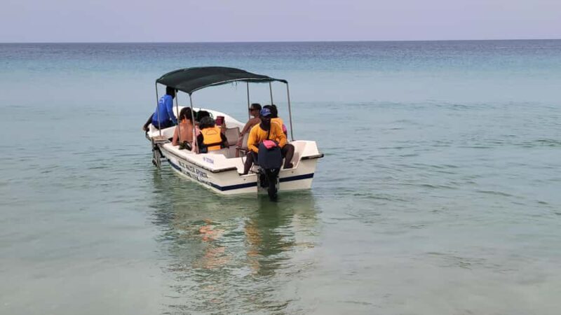 Trincomalee: Whales & Dolphin Watching Tours - The Guide and Group Size