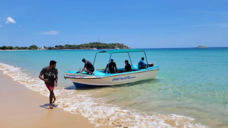 Trincomalee: Whales & Dolphin Watching Tours - Why You Should Consider This Tour