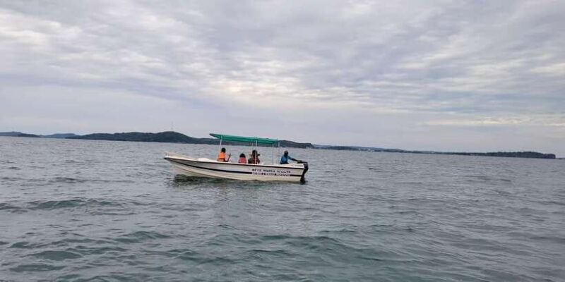 Trincomalee: Whales & Dolphin Watching Tours - Why This Tour Offers Real Value