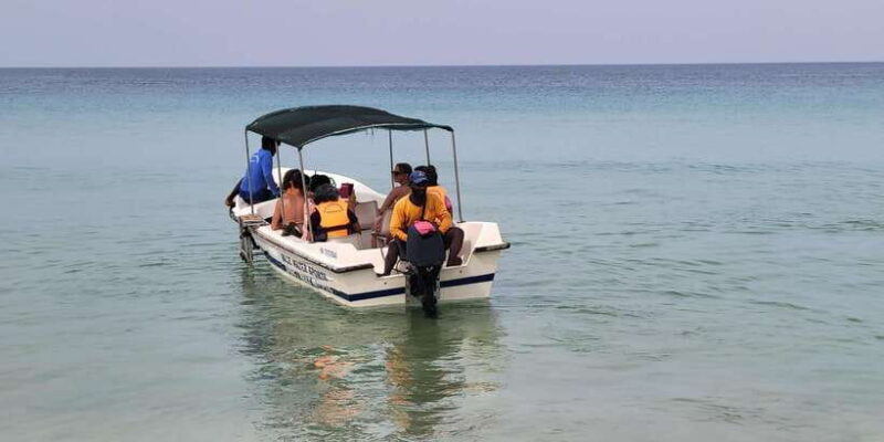 Trincomalee: Whales & Dolphin Watching Tours - Final Thoughts: Who Should Consider This Tour?