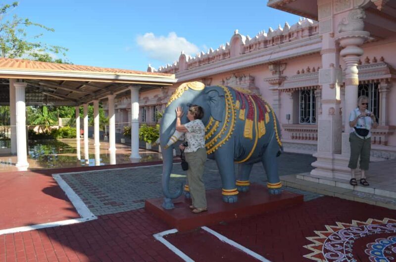 Trinidad: Half-Day Mini Island Tour from Port of Spain - Key Points