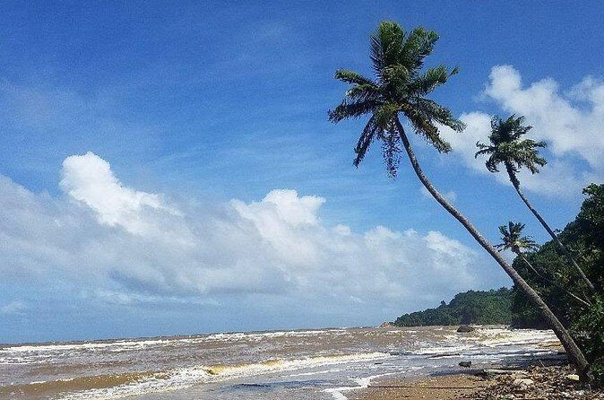 Trinidad Island Circle Tour with Pickup - Authentic Reviews from Participants