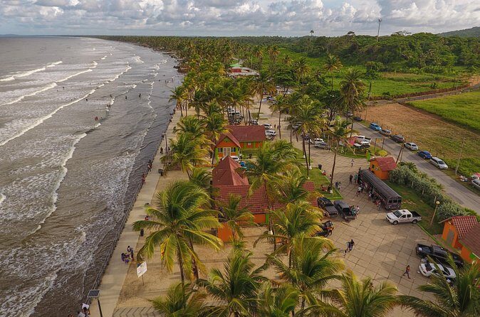 Trinidad Island Circle Tour with Pickup - Who Will Love This Tour?