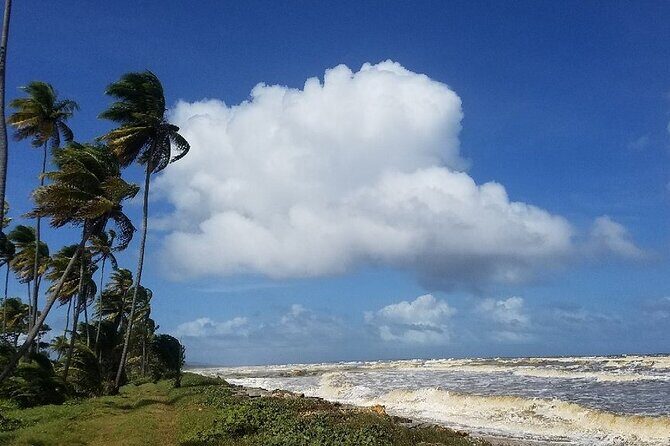 Trinidad Island Circle Tour with Pickup - Final Thoughts
