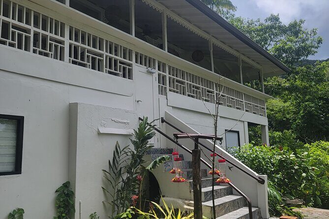Trinidad Nature and Asa Wright Center Full-Day Tour from Port of Spain - What Past Travelers Say