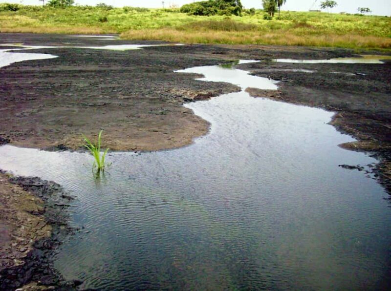 Trinidad: Pitch Lake and Chaguanas Sightseeing Tour - Key Points