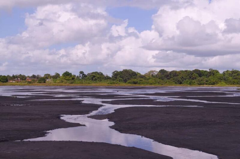 Trinidad: Pitch Lake and Chaguanas Sightseeing Tour - An Introduction to the Tour Experience