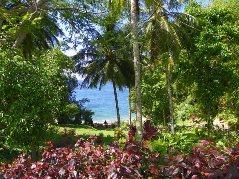 Trinidad: Zip Lining Experience & Fort George Panoramic View - The Nuts and Bolts of the Experience