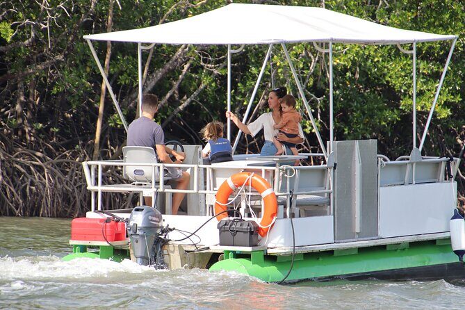 Trinity Inlet Self-Drive Pontoon Boat Hire in Cairns - The Sum Up