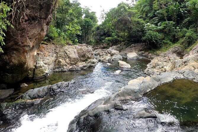 Trio Tour: El Yunque, Luquillo Beach, and Bio Bay Night Kayaking - FAQ
