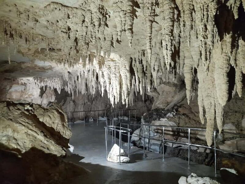 TrioDEAL MilkyWay GLOWWORM Cave, Kiwi Bird & Whangarei Falls - Final Thoughts